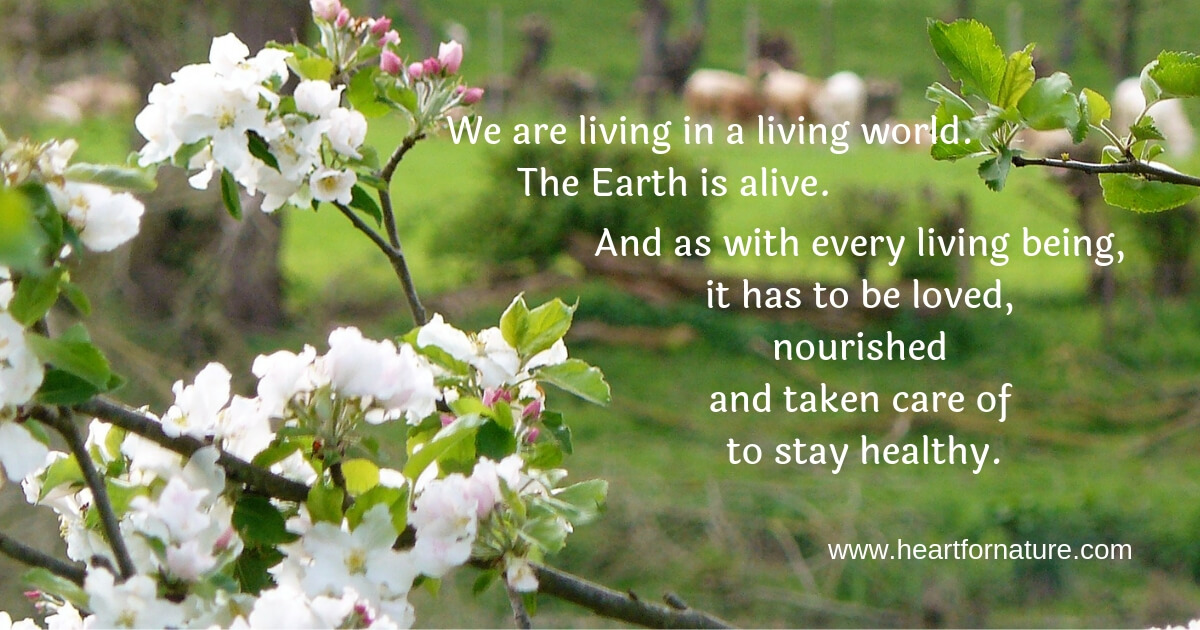 Earth Day, Every Day - Heart for Nature